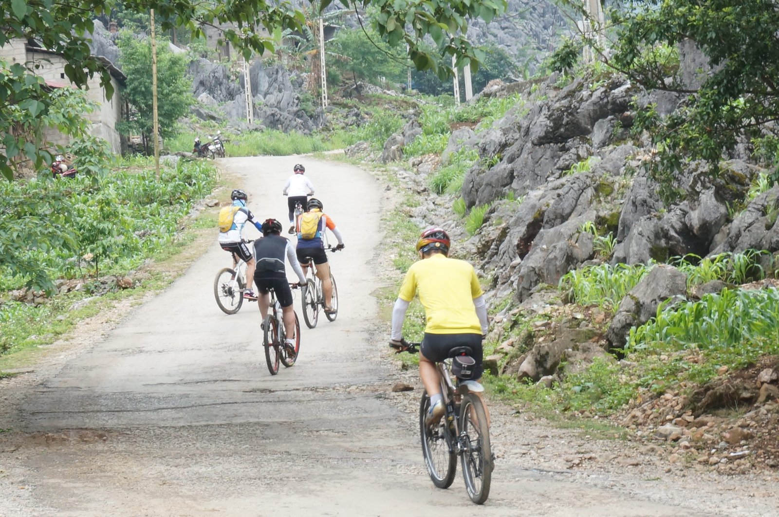 10-Day Ha Giang Loop & Hoang Su Phi Cycling Adventure | Ultimate ...