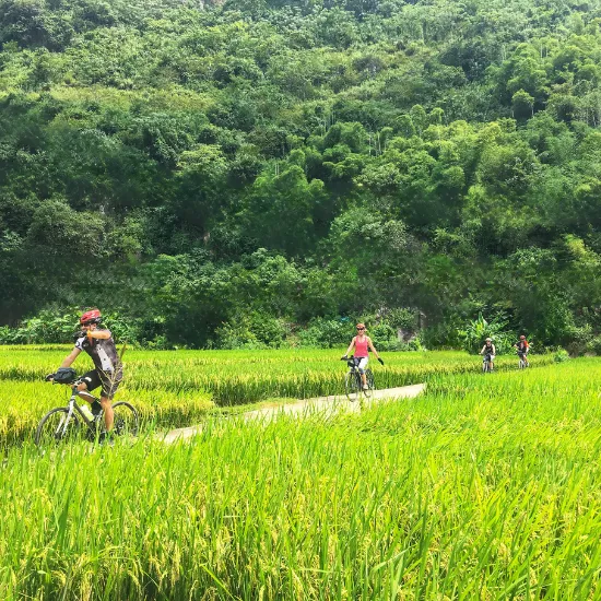 The Ultimate Guide to Soft Adventure Cycling Vietnam: Discover the Soul ...